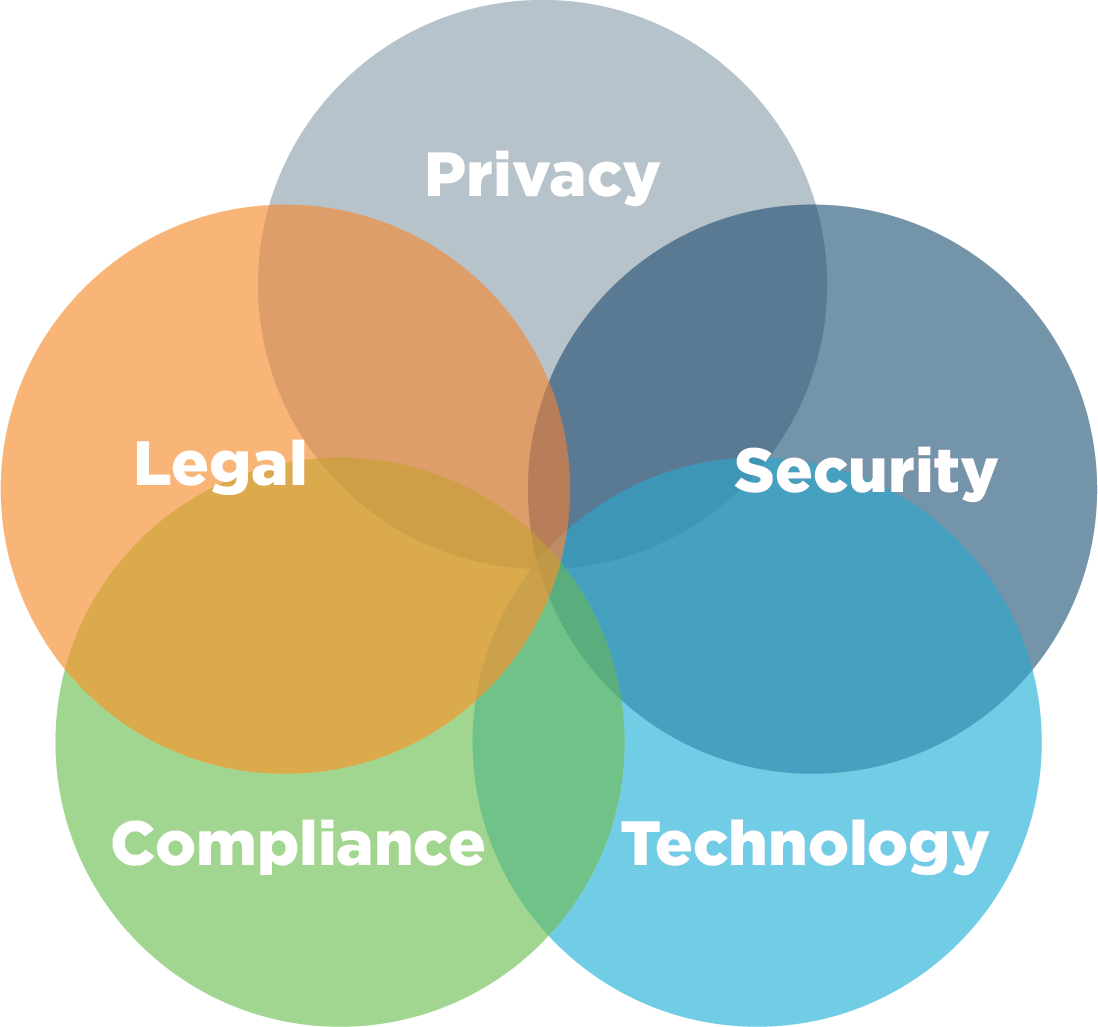 Data Privacy Program | Control Assessment | Schneider Downs Consulting